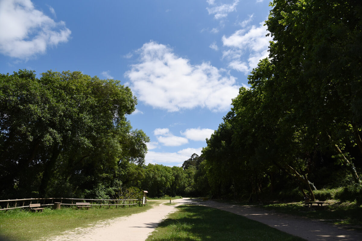 Parque Urbano da Rinchoa – Fitares – Junta de Freguesia de Rio de Mouro